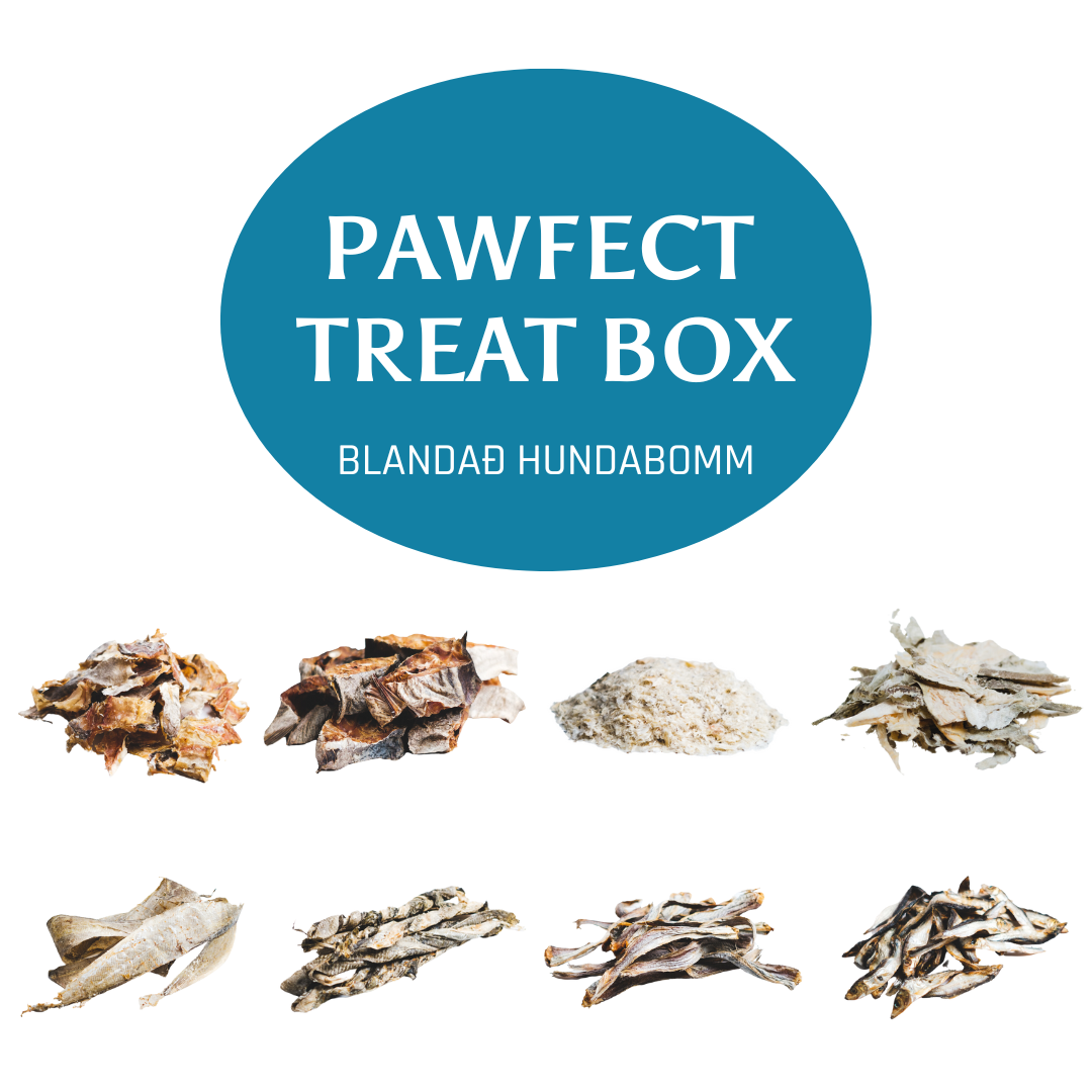 Pawfect Treat Box – Ocean Treats